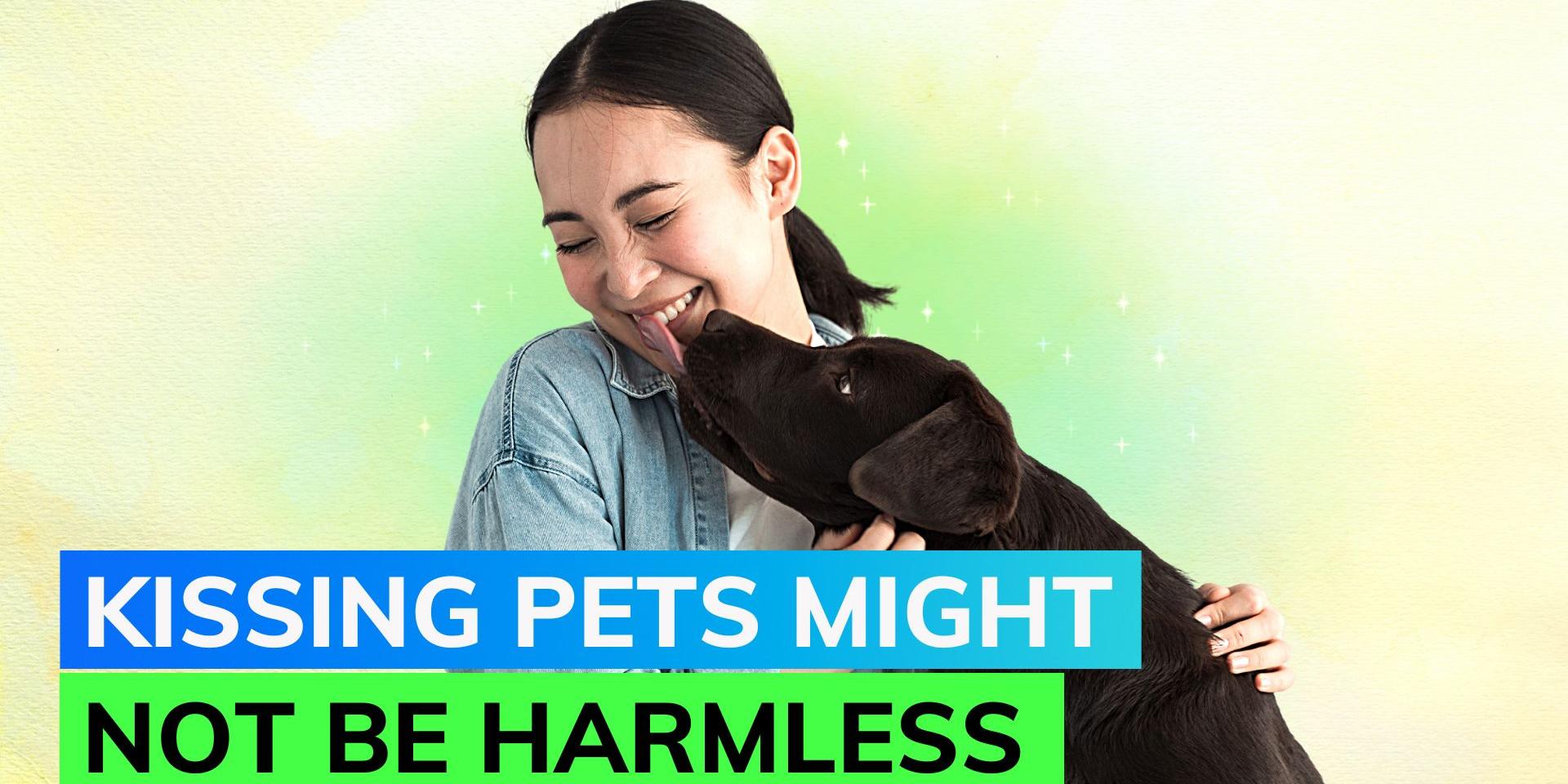 Should you avoid kissing your pets? Survey share insights | Editorji