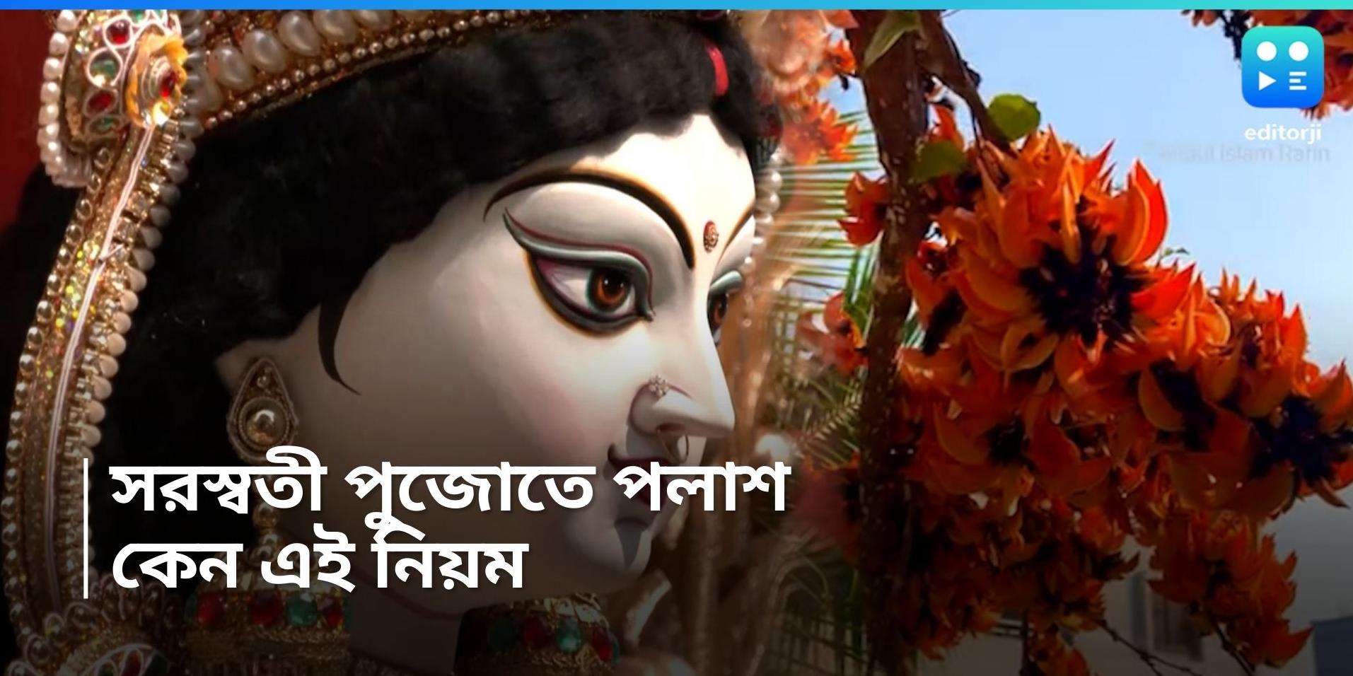 why polash is essential in saraswati puja - Saraswati Puja: সরস্বতী পদ্মাসোনা, অথচ তাঁর পুজোয় ...