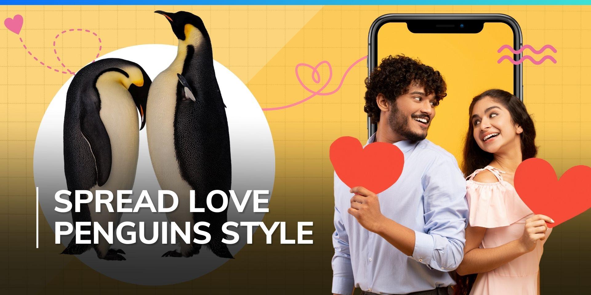 ‘Pebbling’ is the latest dating trend inspired by penguins, know all ...