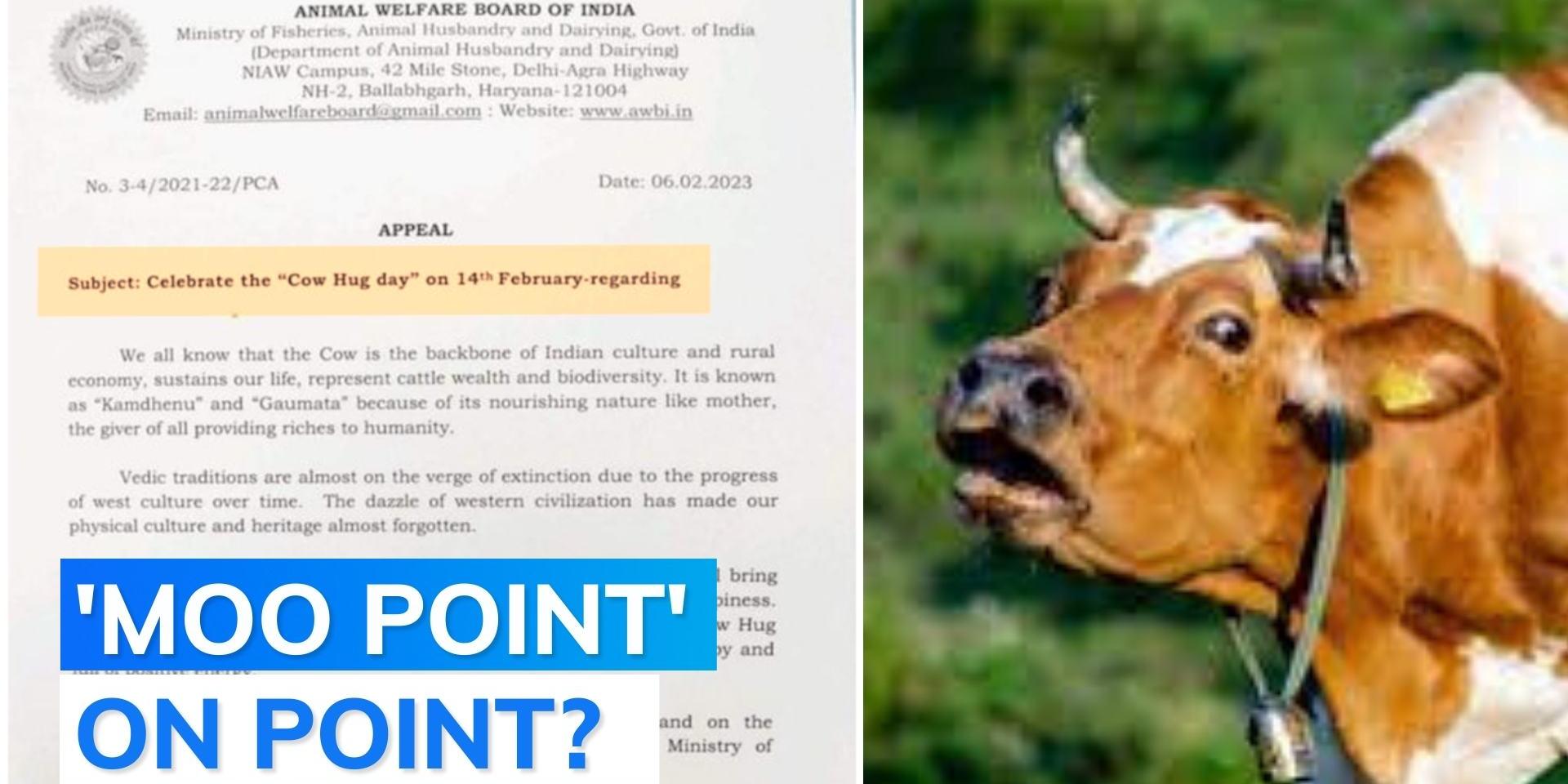 Cow Hug Day: netizens bombard social media with hilarious reactions ...