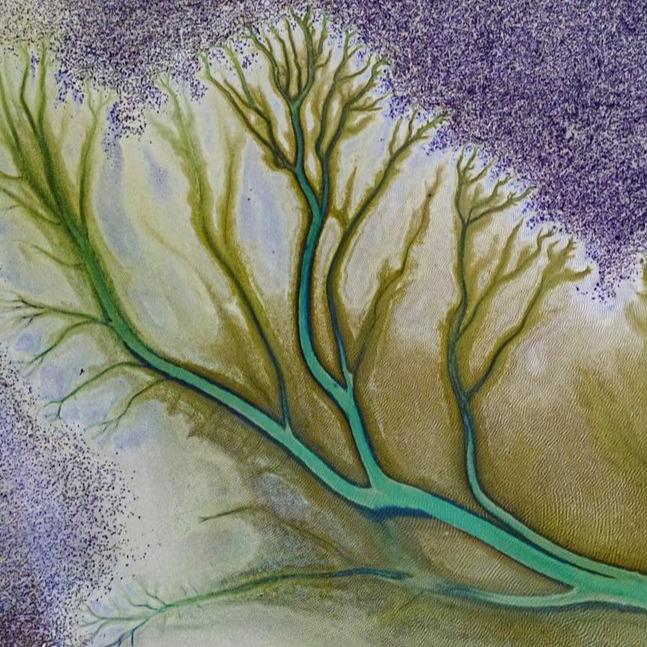 Watch: natural ‘tree of life’ art formation in Aussie lake after storm ...