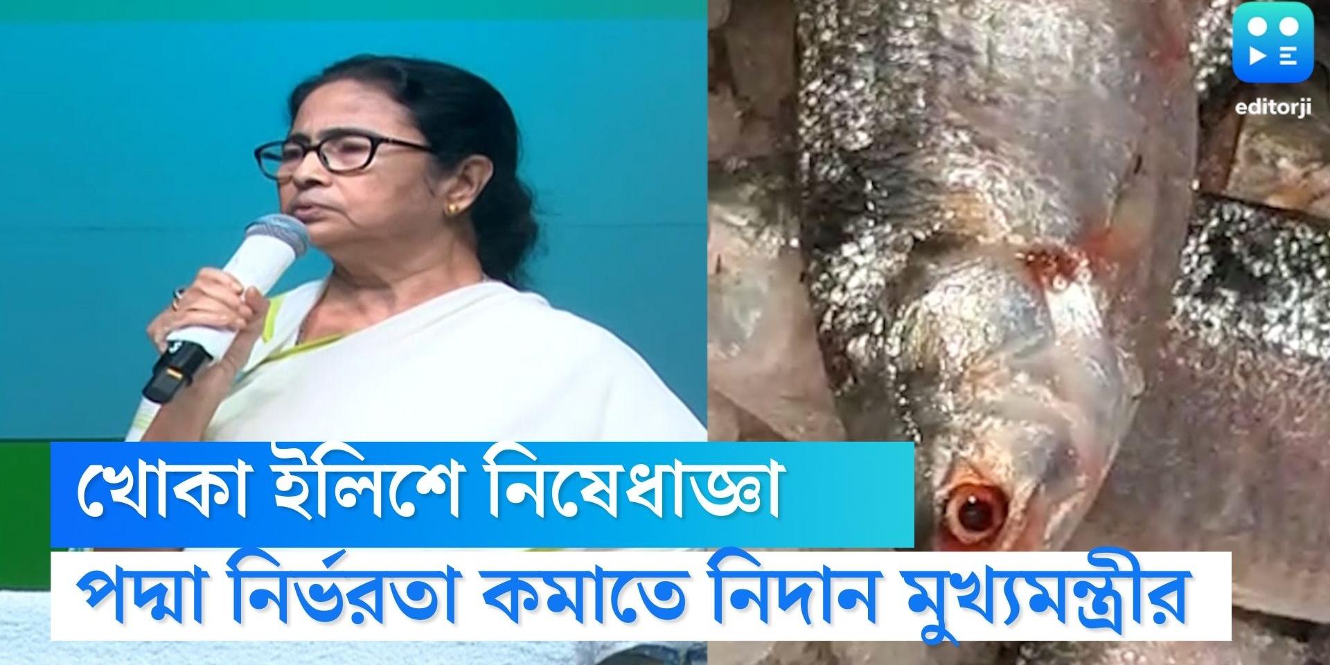 Mamata banerjee‘s orders to stop small hilsa fishing to reduce hilsa dependence on Padma in ...