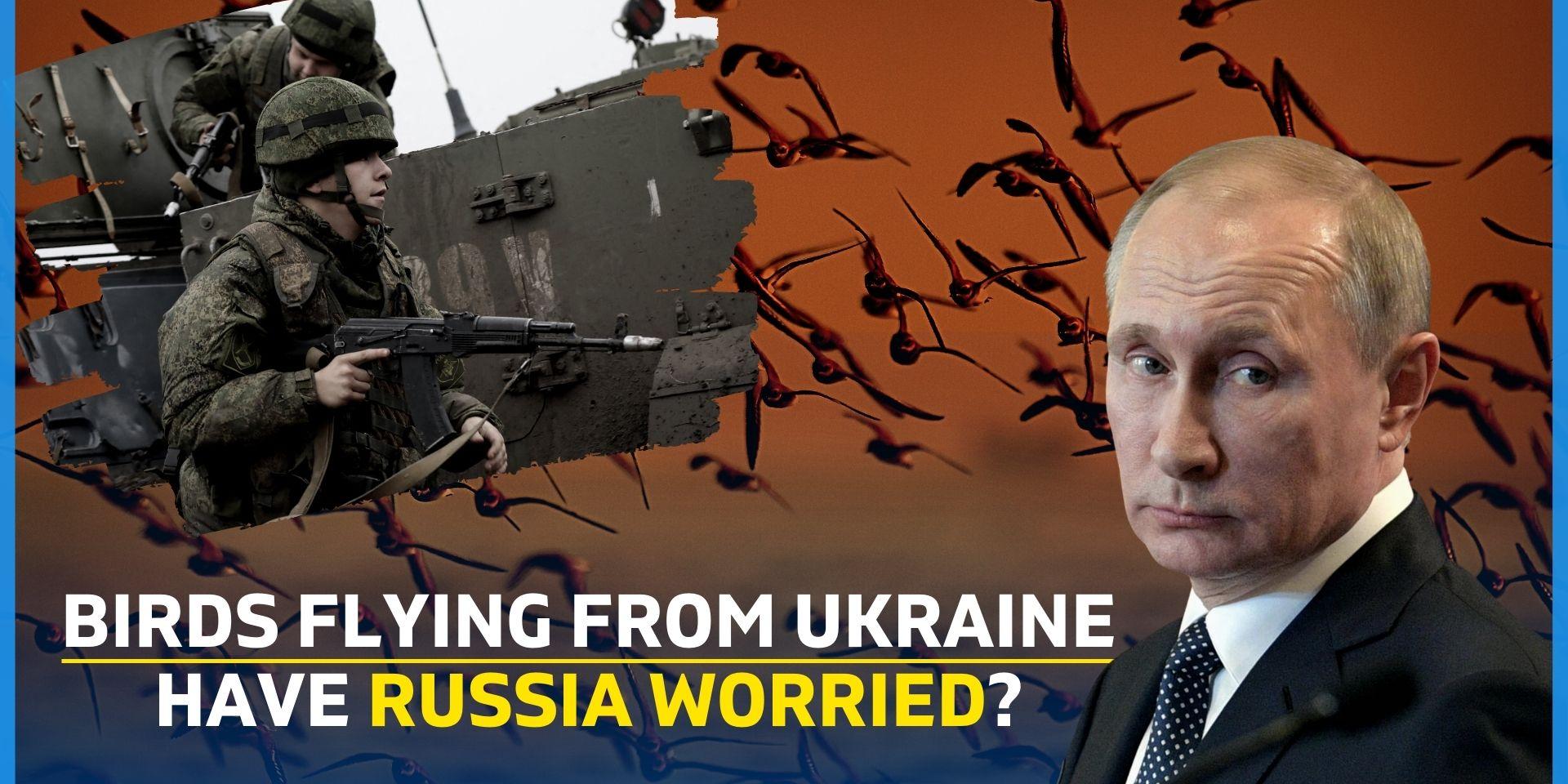 Doom Tech | Why Vladimir Putin is scared of birds; USA‘s pigeon-guided ...