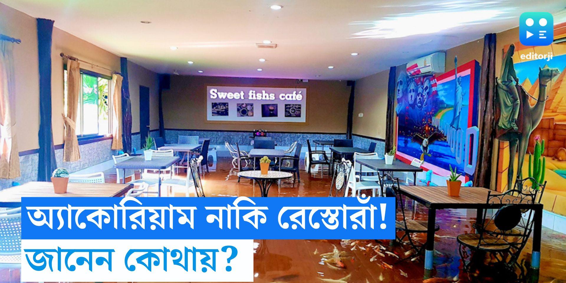 Sweet Fishs Cafe In Thailand where the floor is filled with water and ...