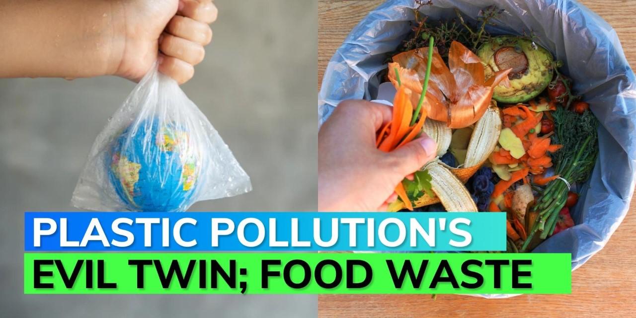 Not just plastic pollution, food waste is far worst for environment ...