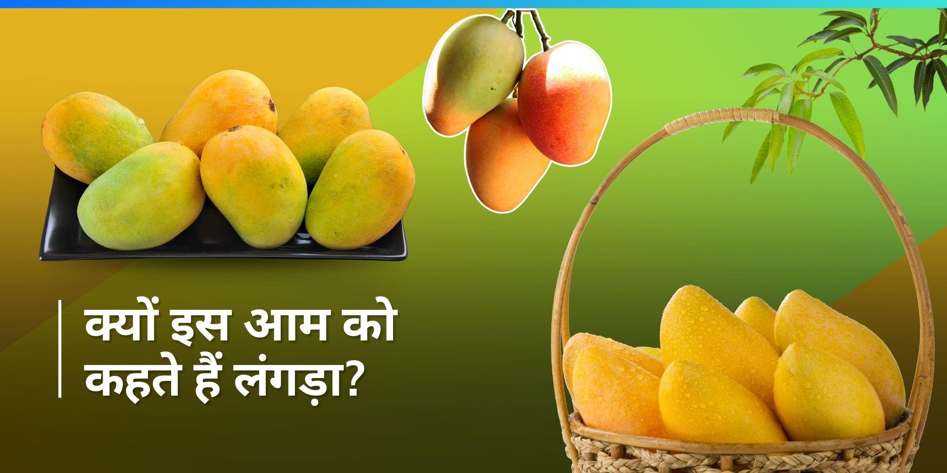 Langra Aam: How Langra Aam got its name, know the story behind it ...