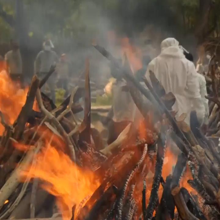 6-8 million people dead so far, 3 times the official Covid tolls: WHO ...