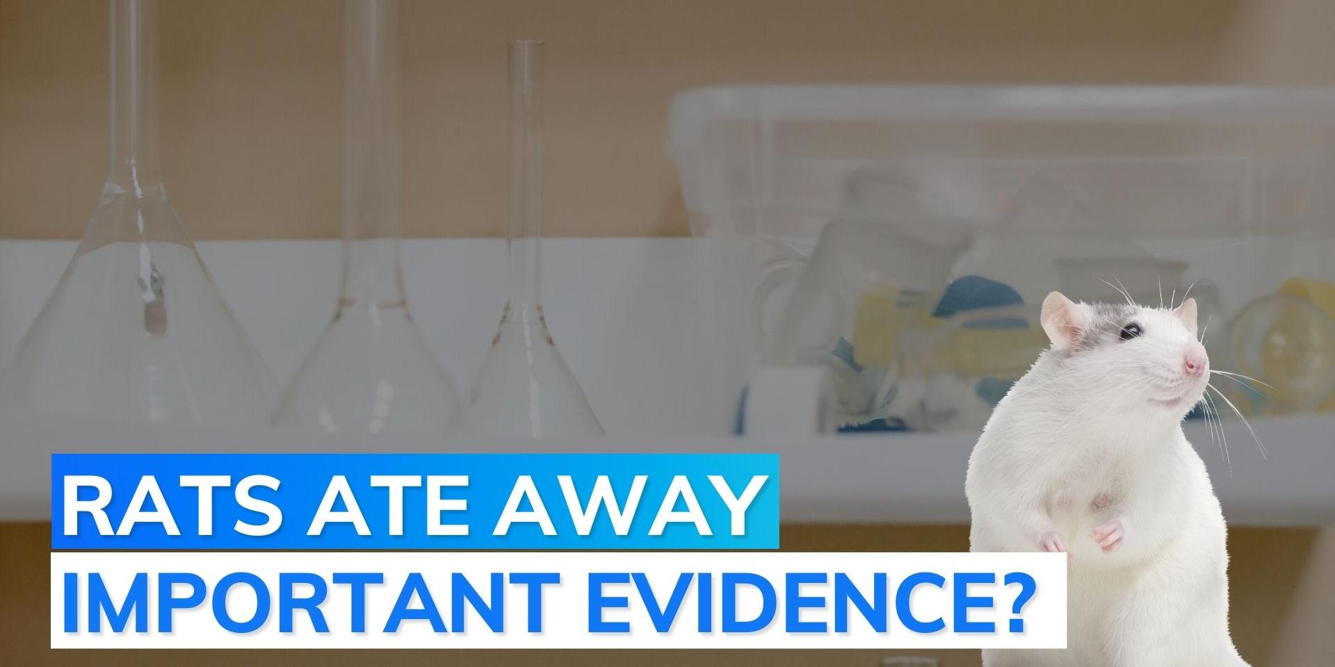 MP: Indore police holds rats responsible for missing viscera samples ...