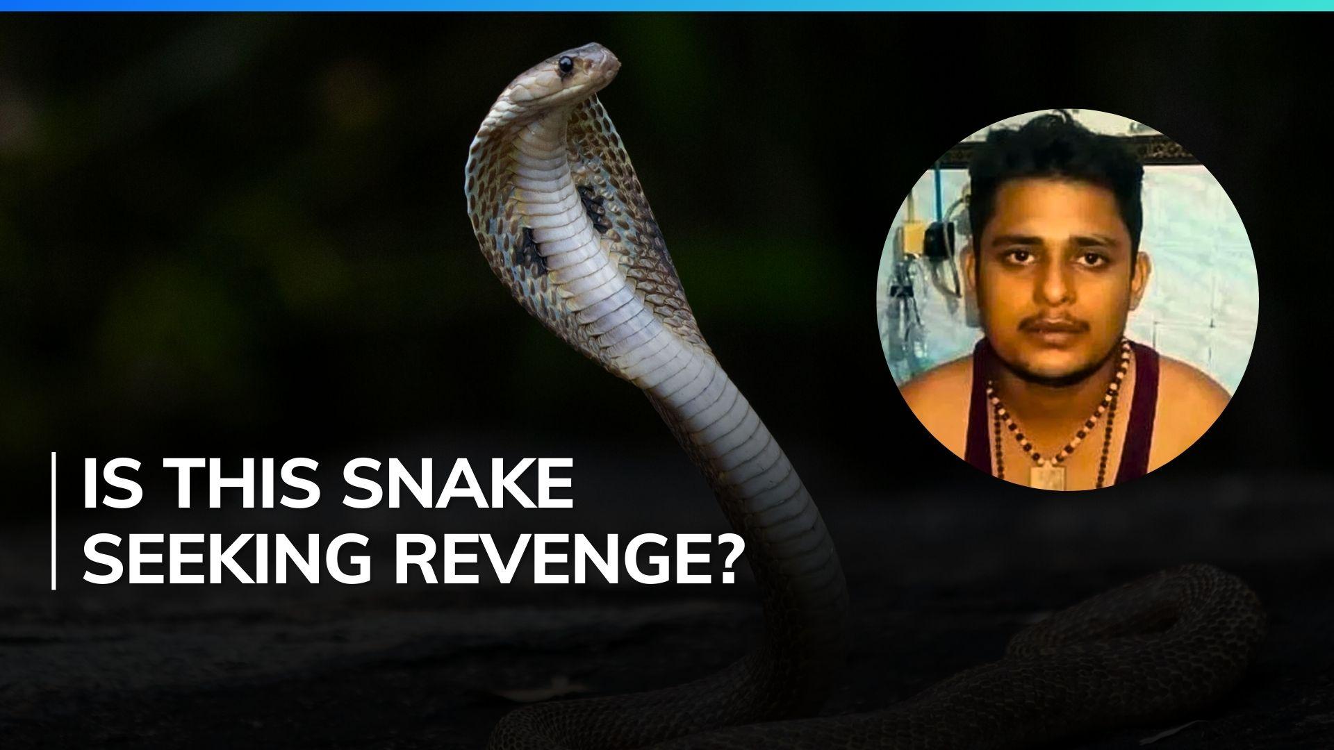 UP: Man bitten by snake 7 times in 40 days says he won‘t survive the ...