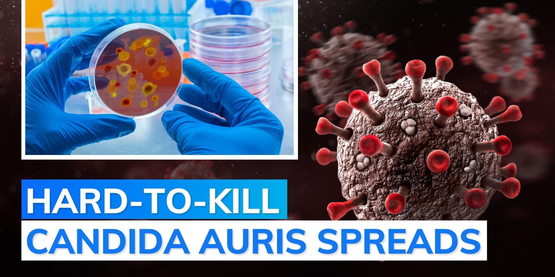 USA: deadly fungal infection cases rising; up 4,300% in 6 yrs | Editorji