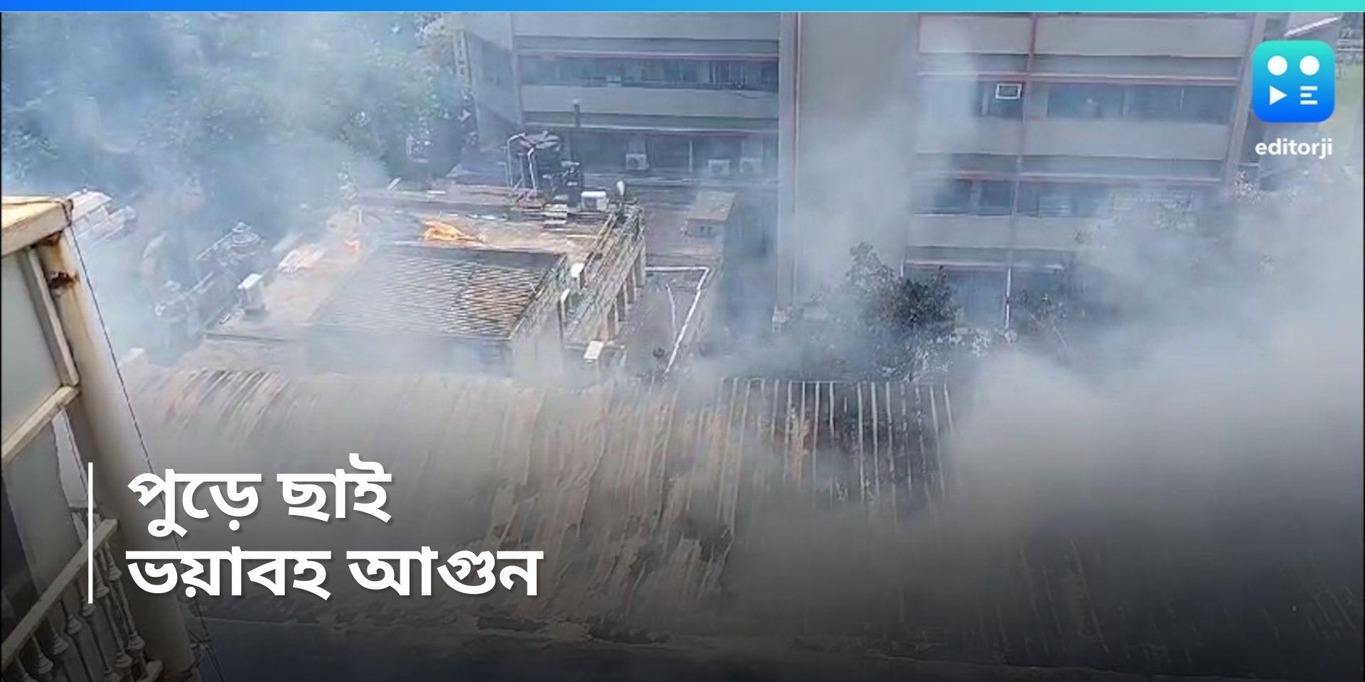 Park Street Fire video goes viral - Kolkata Fire : পুড়ে গিয়েছে বহুতলের অ্যাসবেস্টসের ছাদ ...