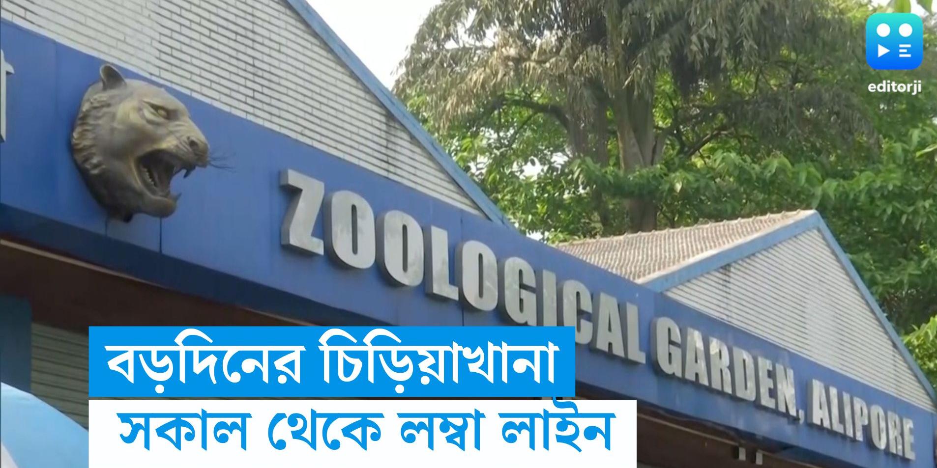 alipore zoo is overcrowded on christmas morning - Christmas Crowd At ...