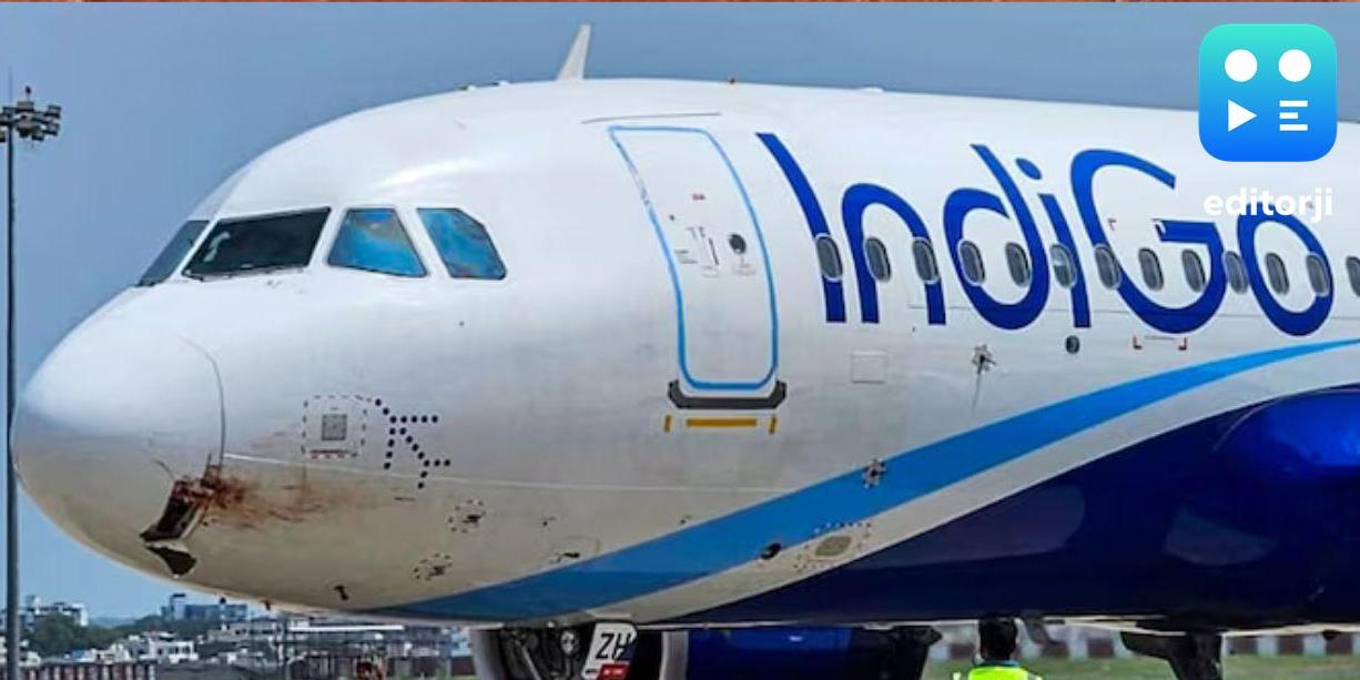 IndiGo Flight Safe After Bird Strike Emergency | Editorji