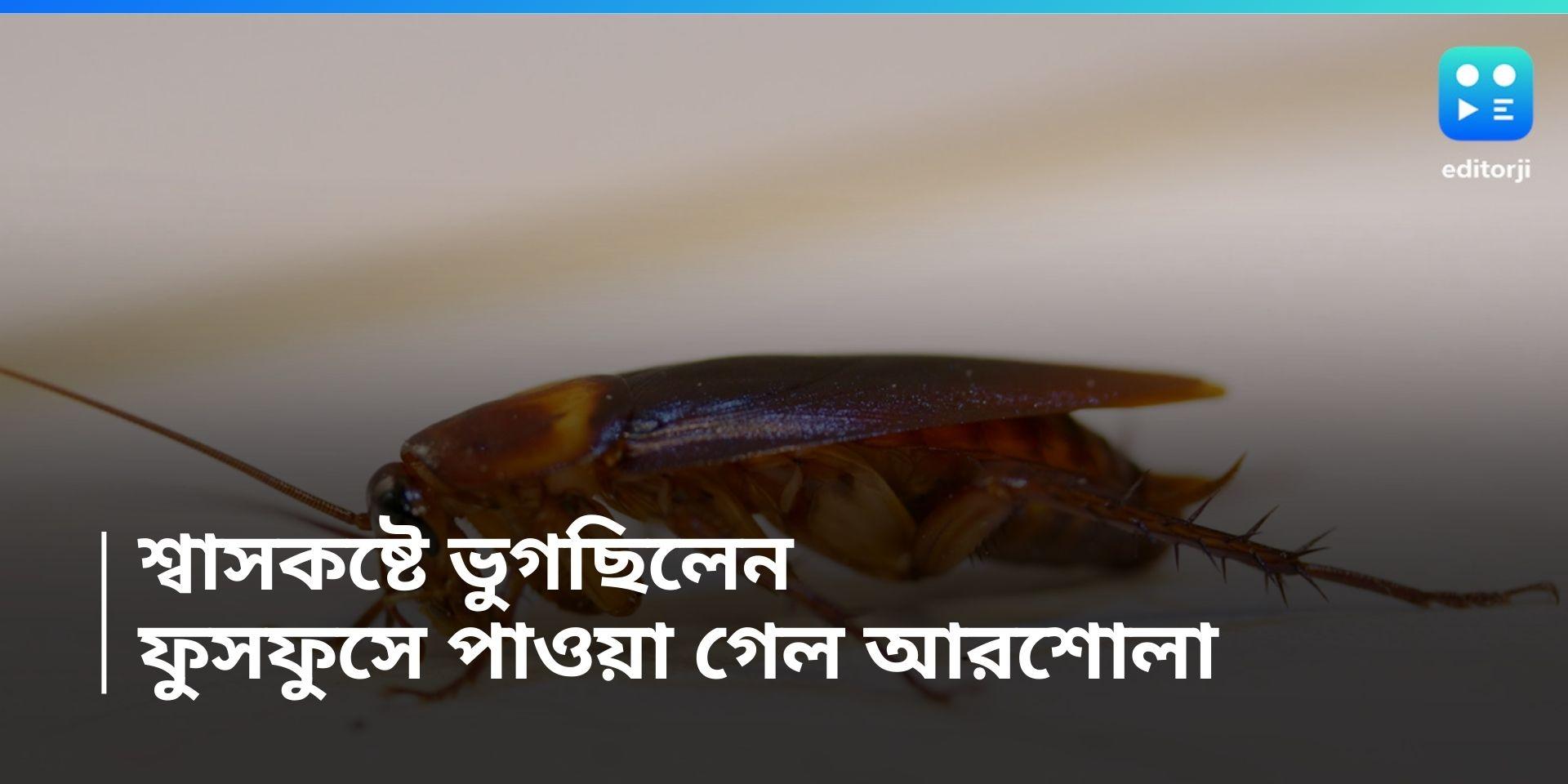 Cockroach Found in Lungs of Kochi Patient in Kerala - Kerala news ...