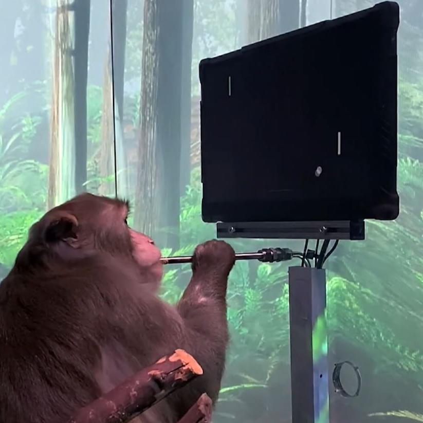 Neuralink video shows a monkey playing a game with its brain | Editorji