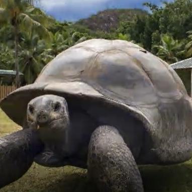 10 thousand year old creature | Editorji Hindi