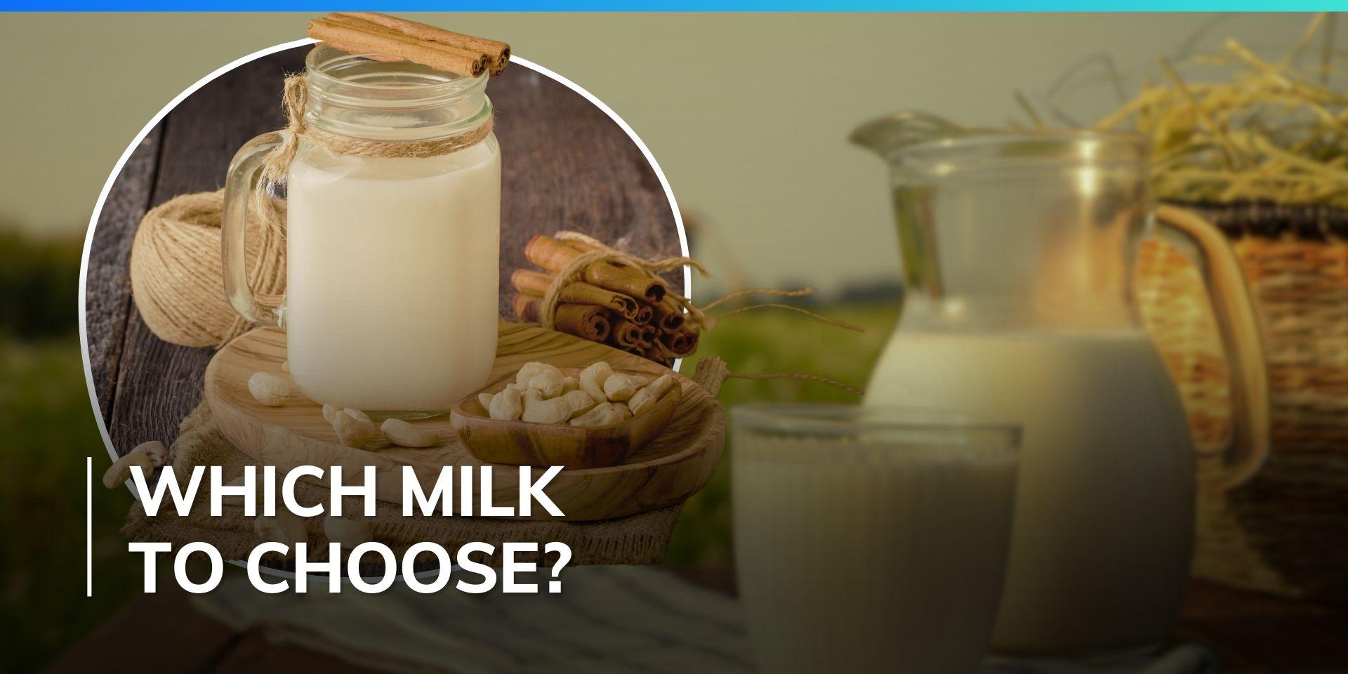 Plant based milk vs dairy milk: Which is more nutritious and better for ...