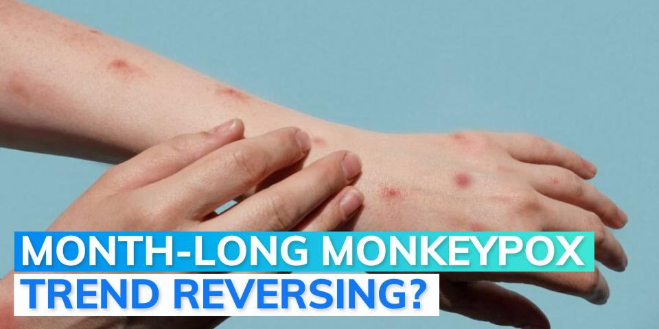 Monkeypox: WHO‘s good news announcement as cases drop 21%; warning for ...