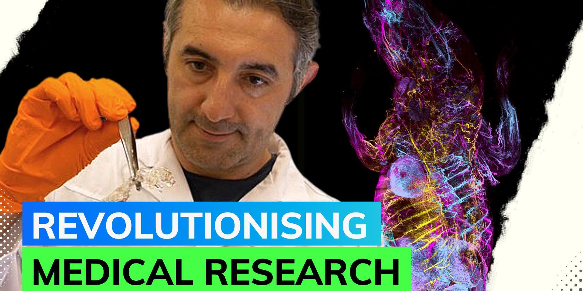 Scientists use transparent mouse to detect minute cancerous tumours in ...