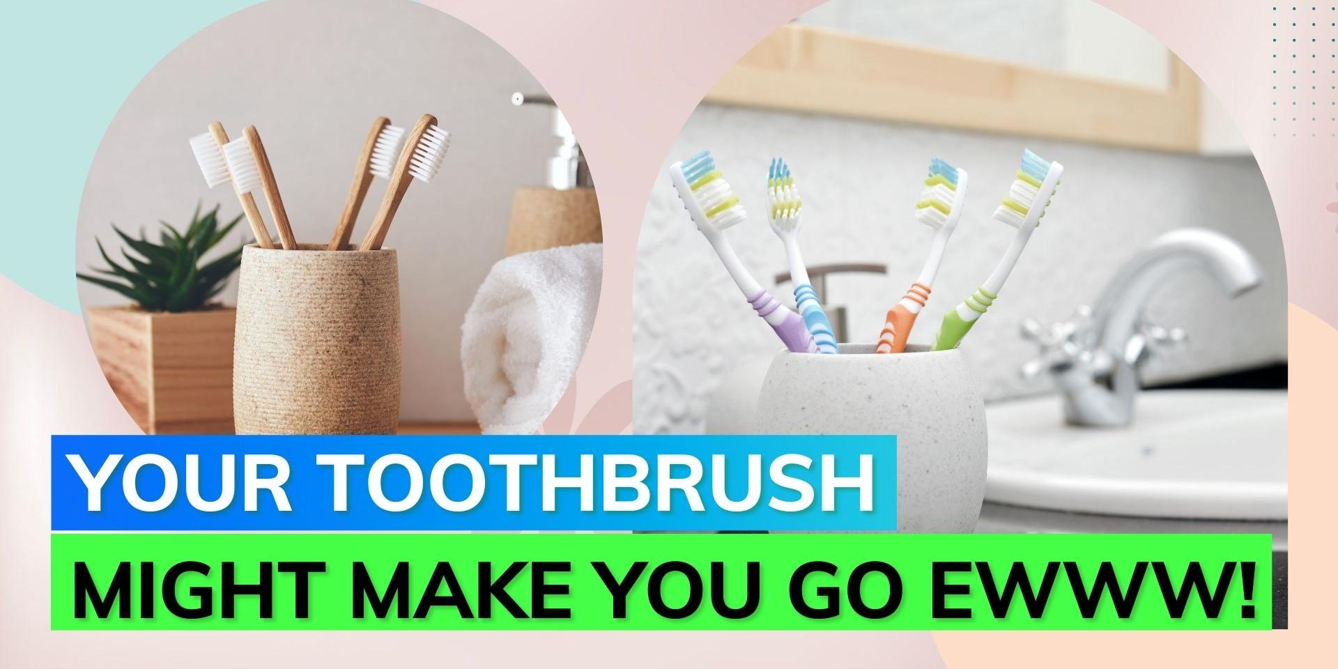 Dentist influencer claims your toothbrush might be full of poop ...