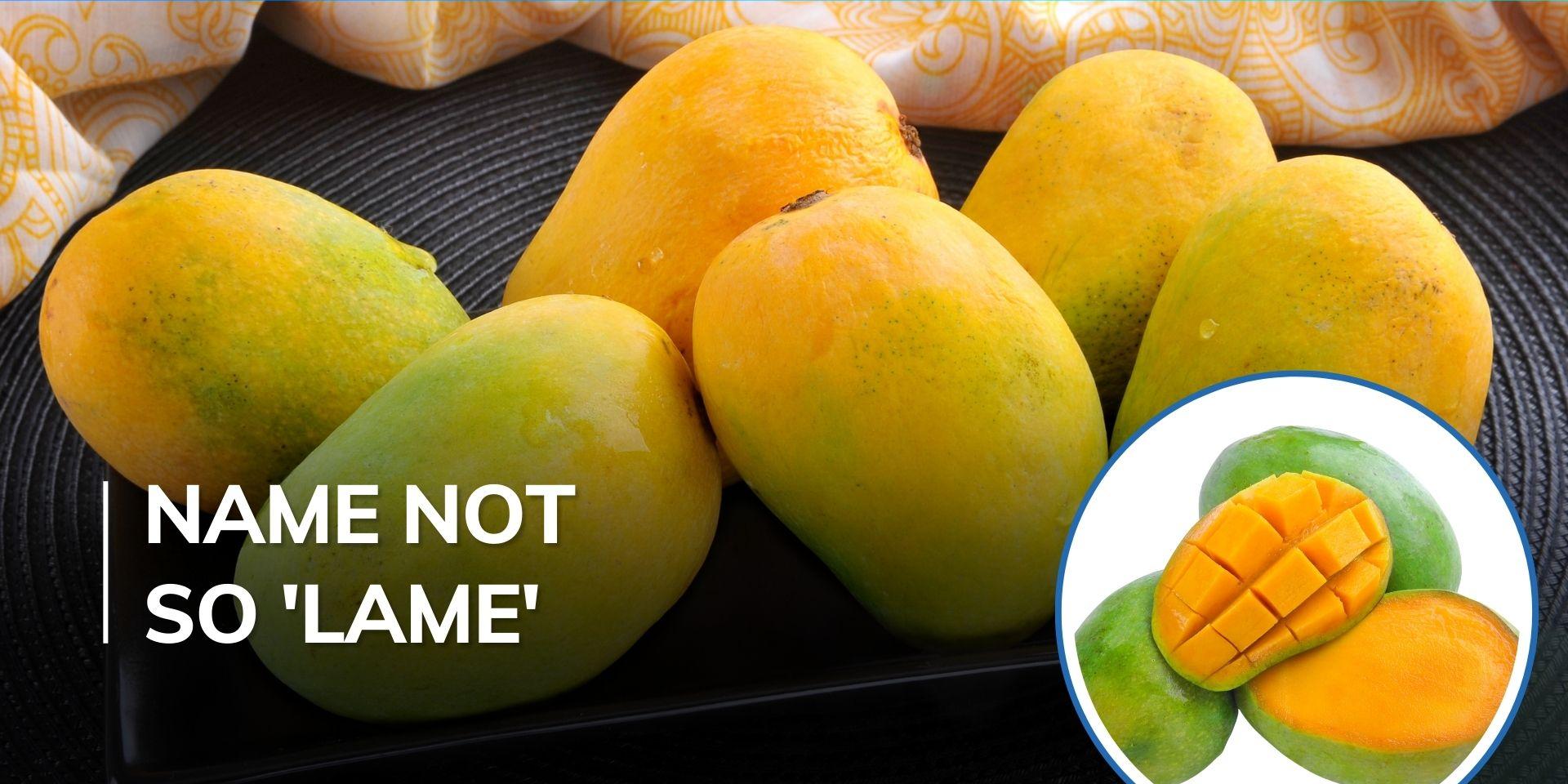 Do you know the interesting story behind how langra aam got its name ...