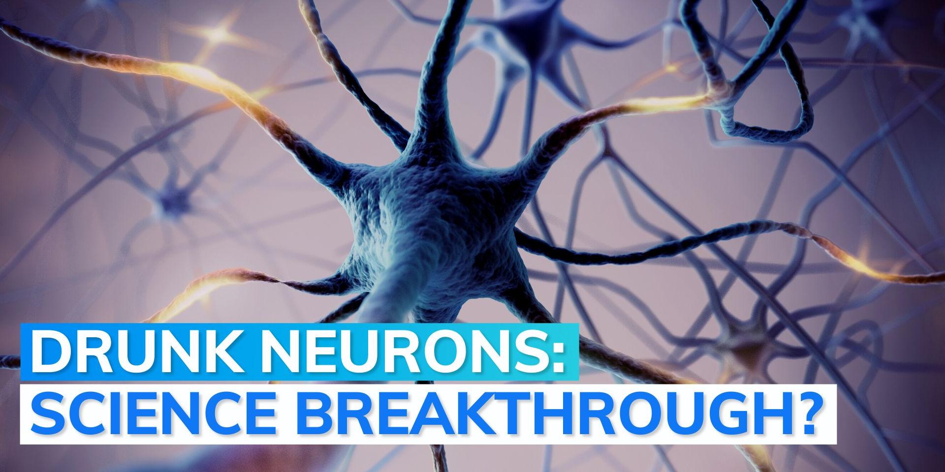 Here‘s why scientists taught ’brain cells‘ to play a video game | Editorji