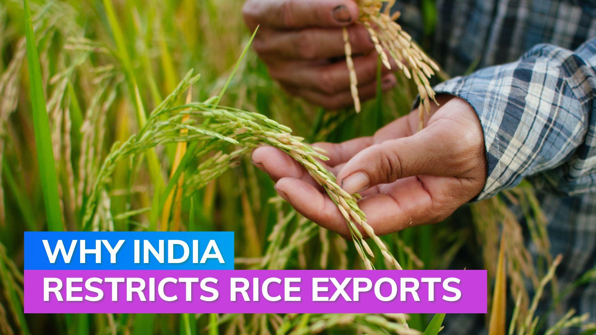 Explained: Why India has added duty and ban on rice exports | Editorji