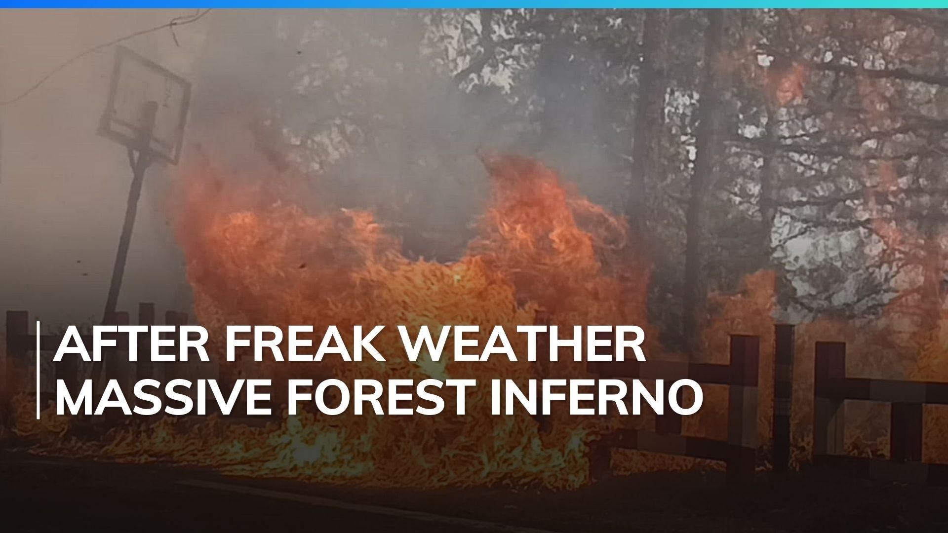 33.34 ha forest land destroyed in 24 hours, IAF, Army called to control ...