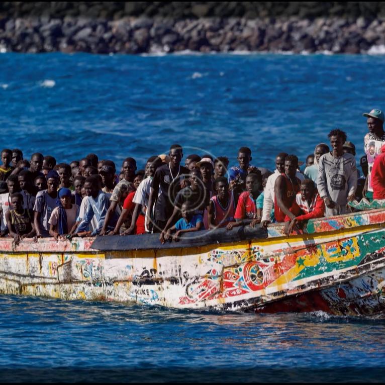 Can AI predict migration flows? | Editorji