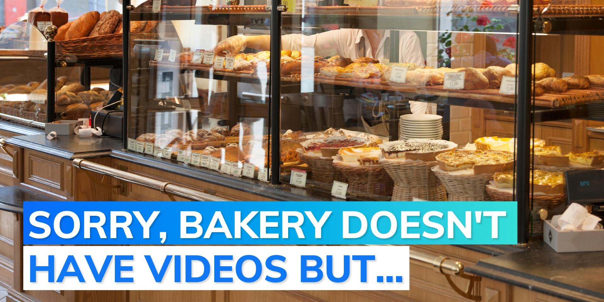 Bear barges into US bakery, eats 60 cupcakes before leaving | Editorji