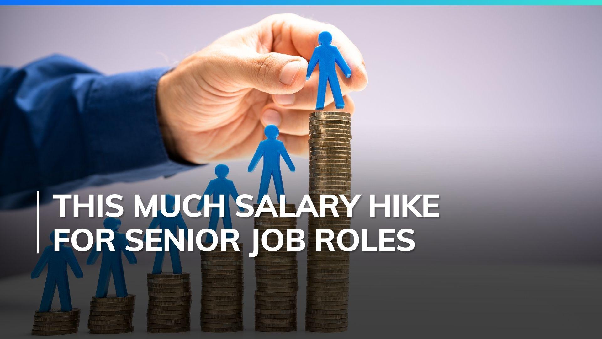 Senior level job roles to see average 20% pay hike on buoyant economic ...