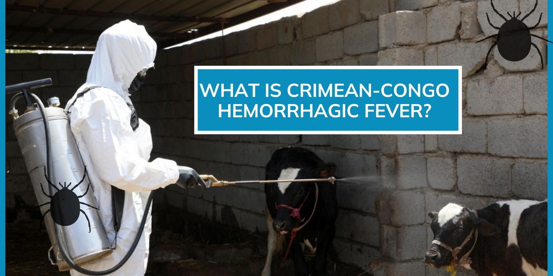 What is the nose-bleed fever that has Iraq in its grip? | Editorji