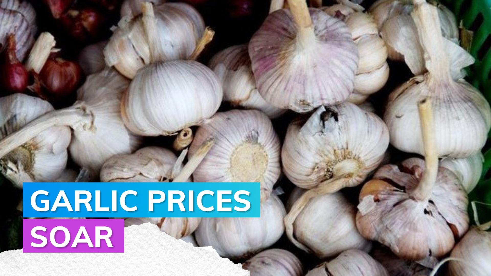 Garlic prices surge amid dwindling supplies: Double in six weeks | Editorji
