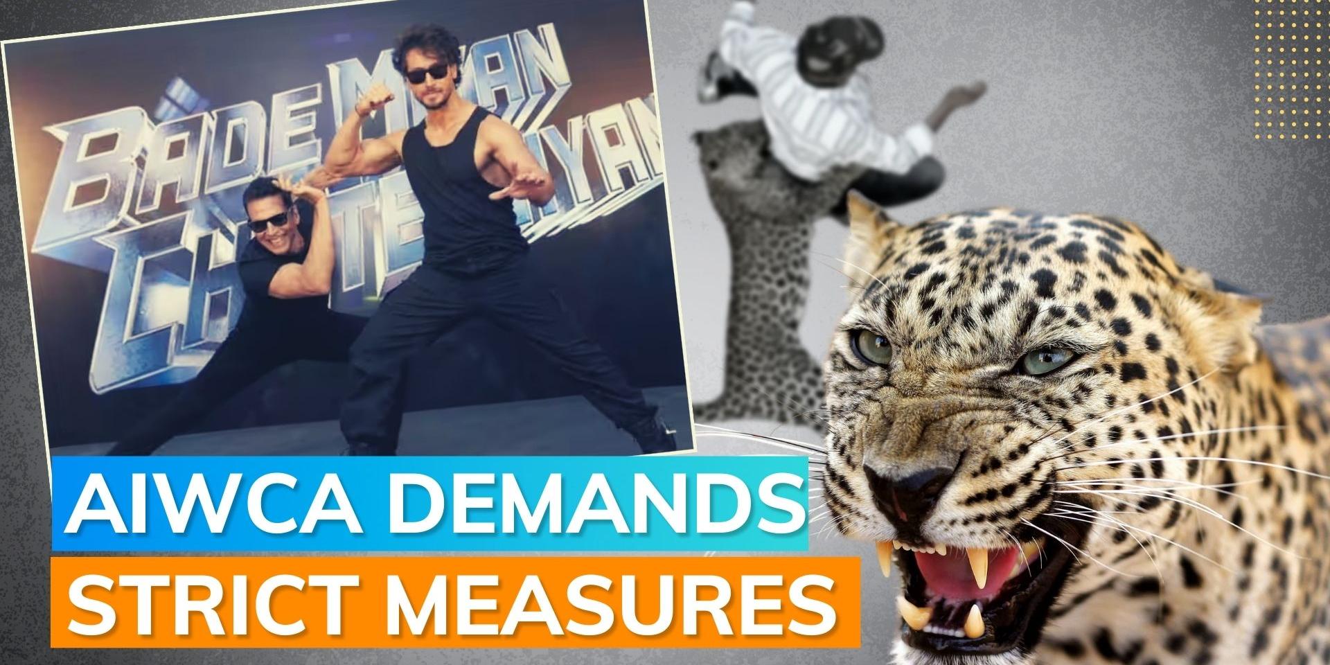 ‘Bade Miyan Chote Miyan’ make-up artist attacked by a leopard | Editorji