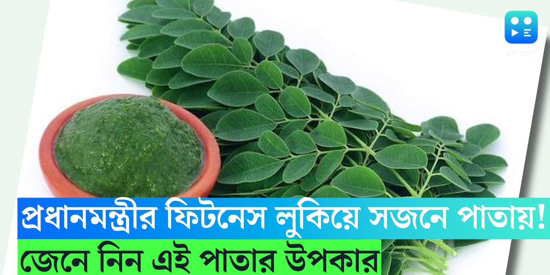 PM Narendra Modi‘s moringa diet can reduce fat, know about in details ...