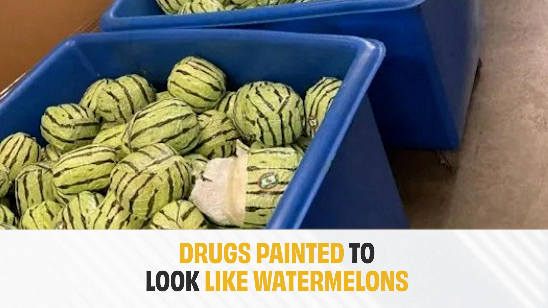 Smuggler Disguised Meth Worth $5 Mn As Watermelons, Held At US-Mexico ...
