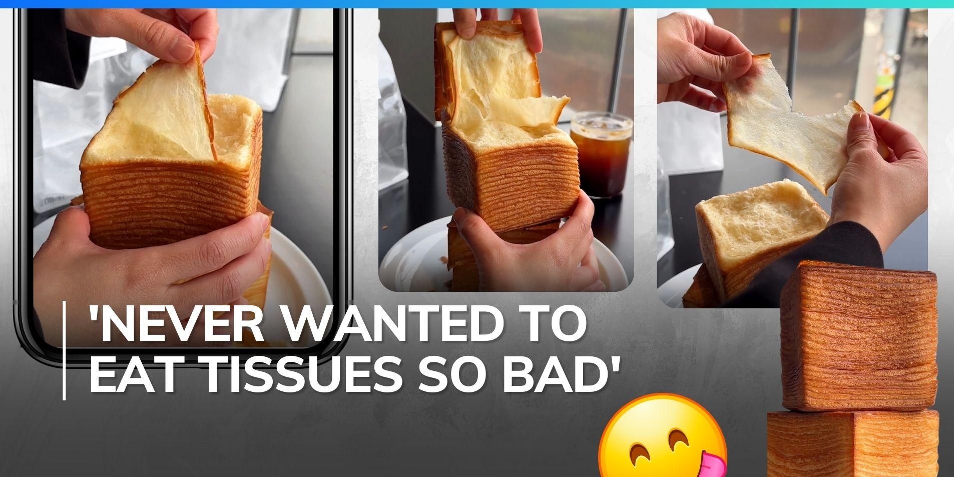 Viral tissue bread from South Korea’s Seoul amuses netizens, call it ...