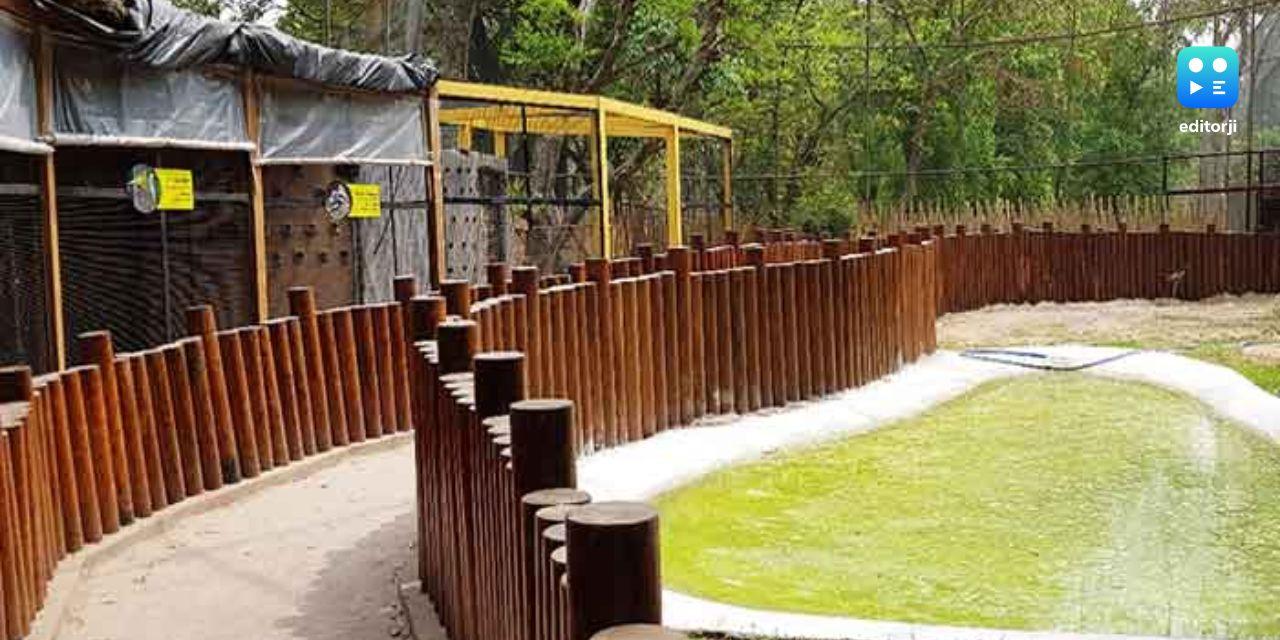 Country’s biggest & longest walk in Aviary Centre of attraction at ...