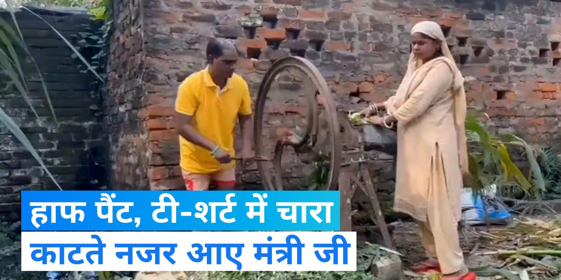 Bihar minister Surendra Ram follows in the footsteps of Lalu Yadav, cuts fodder in half pant- T ...