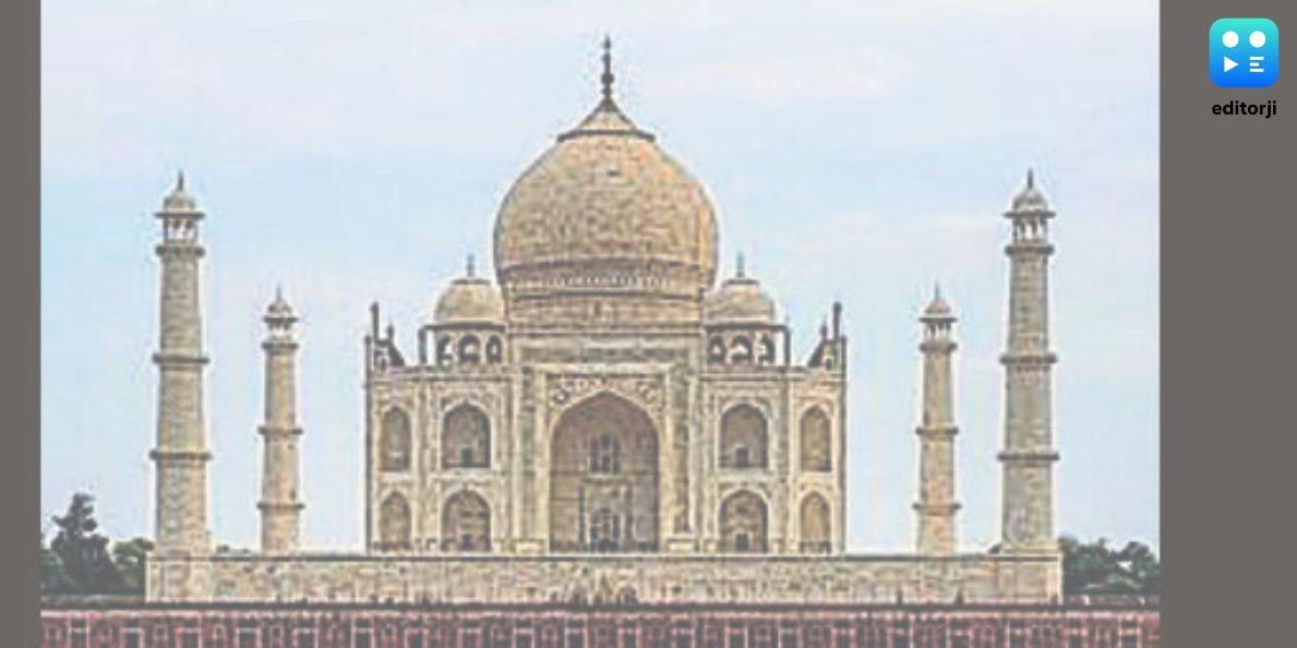 Tree Census Ordered in Taj Trapezium Zone | Editorji