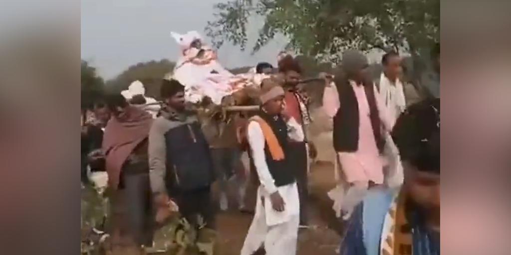 Watch: hundreds attend monkey‘s funeral feast amid Covid-19 spike in ...