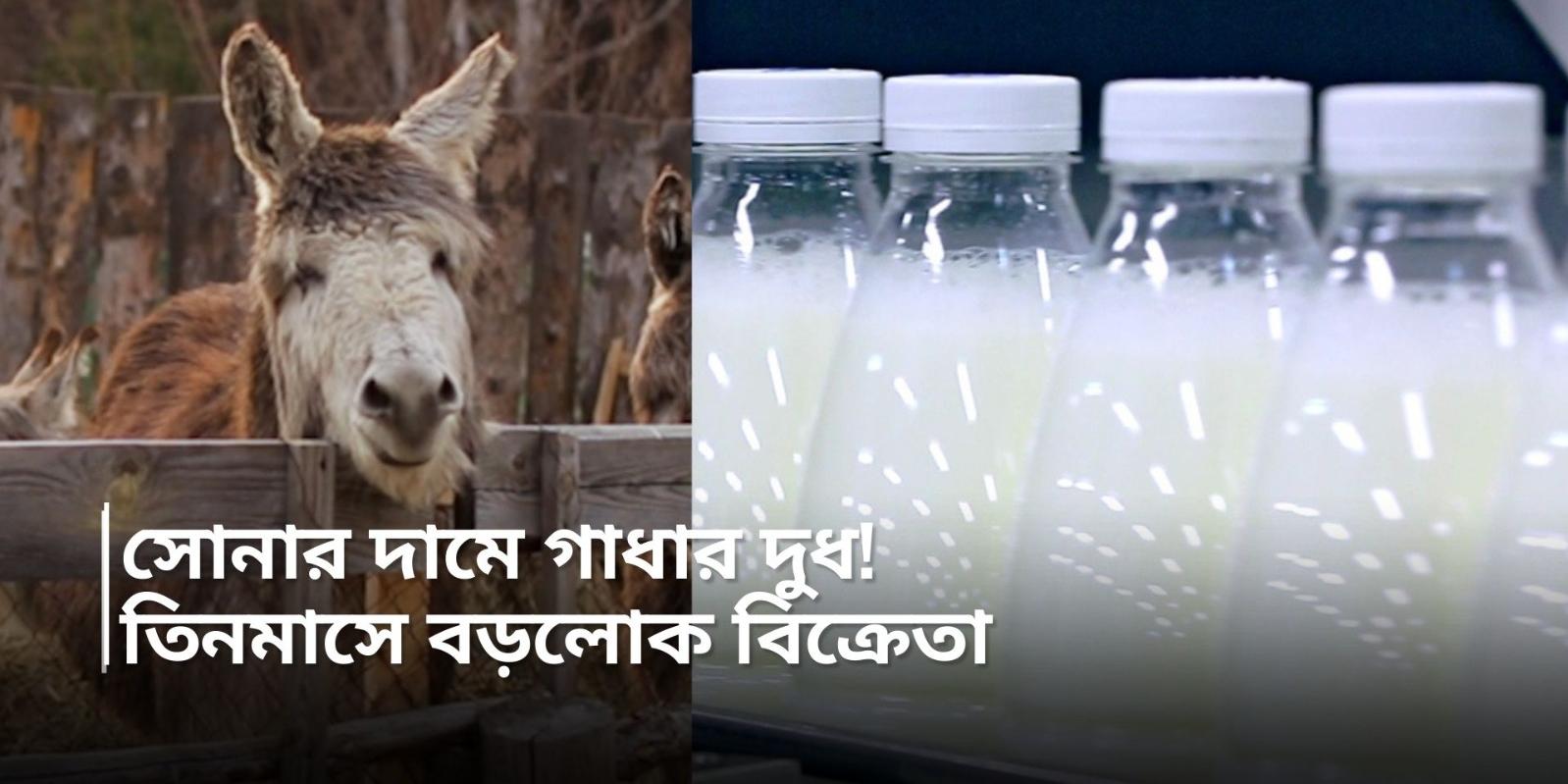 dhiren solanki from gujarat became rich selling donkey milk - Donkey ...