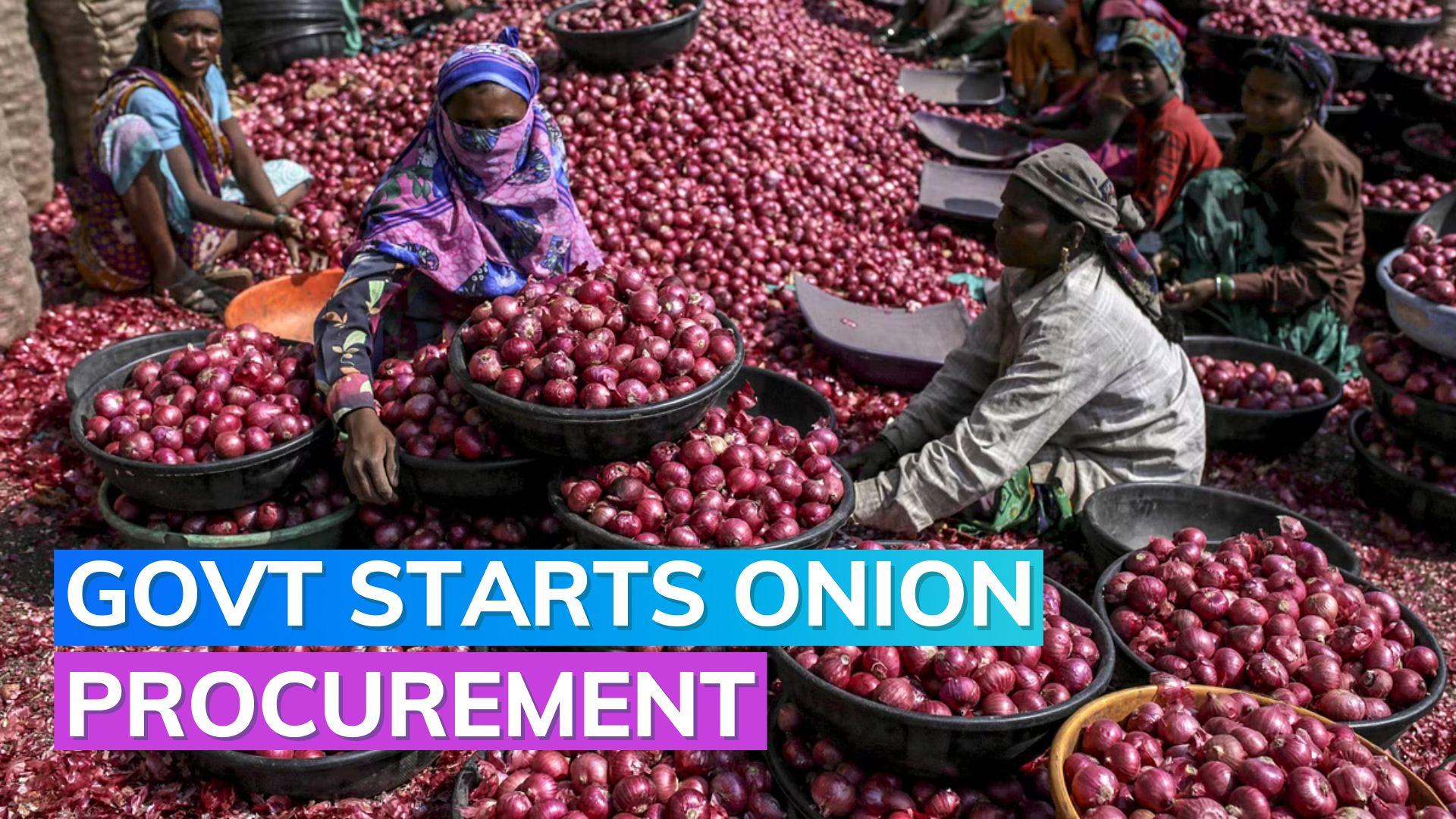 Onion price rise: Govt starts 5 lakh tons of onion procurement for RS 2,410/quintal | Editorji