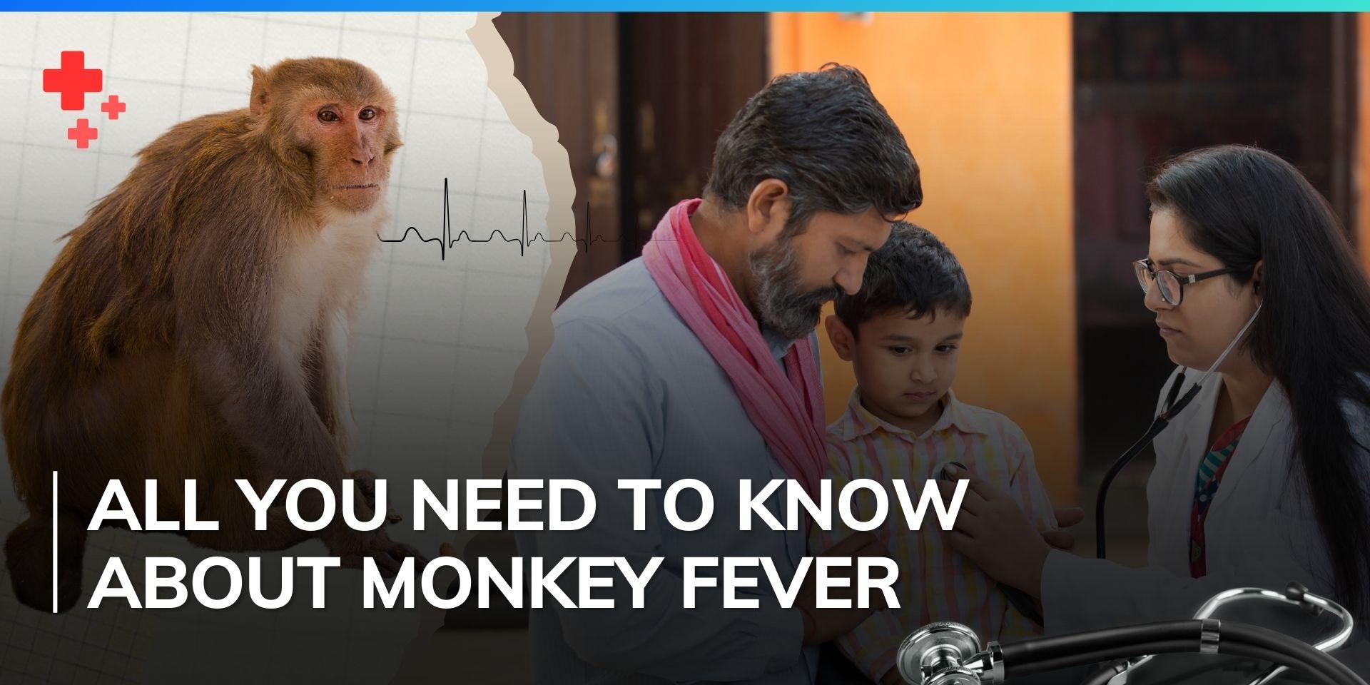 Monkey Fever cases rise in Karnataka: Symptoms, treatment and ...