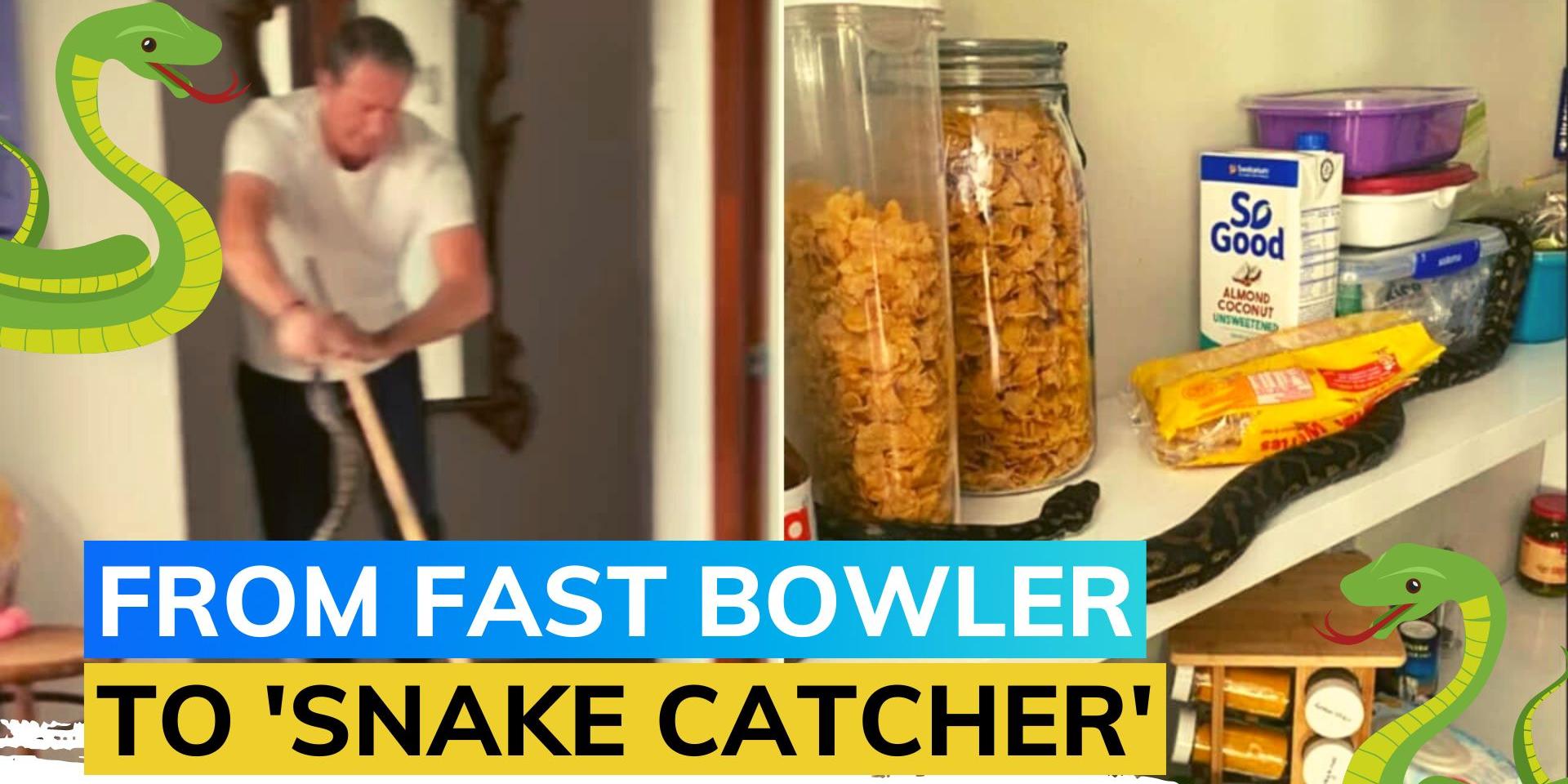 Watch: Snake attack at Glenn McGrath‘s house, ex-AUS cricketer daringly removes 3 pythons ...