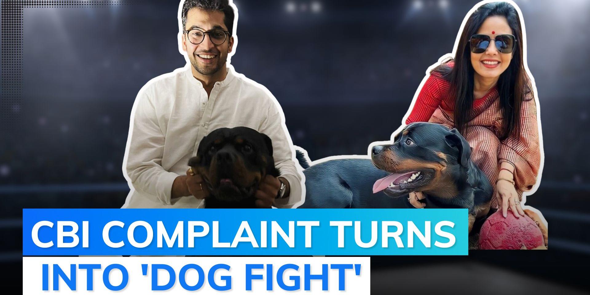 SC advocate Jai Anant Dehadrai accuses Mahua Moitra of ‘stealing’ his dog | Cash-for-query row ...