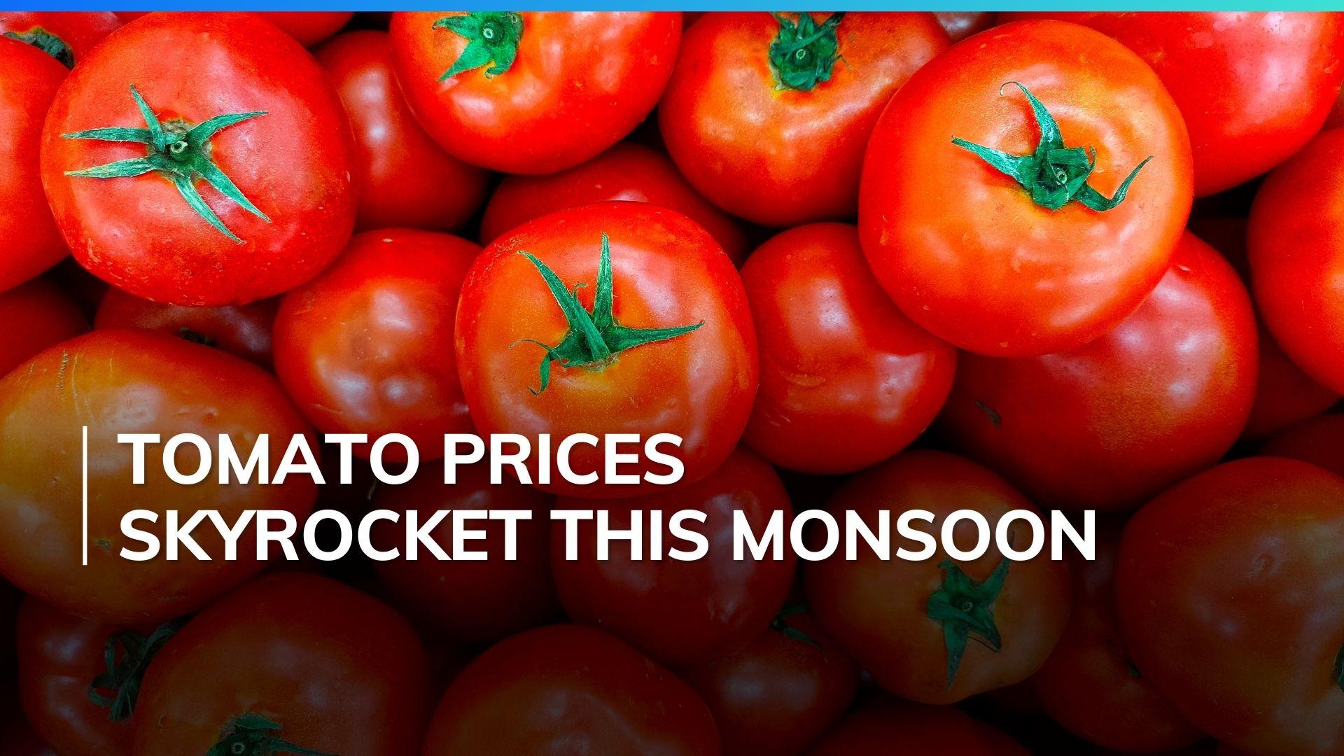 Tomato prices soar: Here‘s why prices are skyrocketing | Editorji