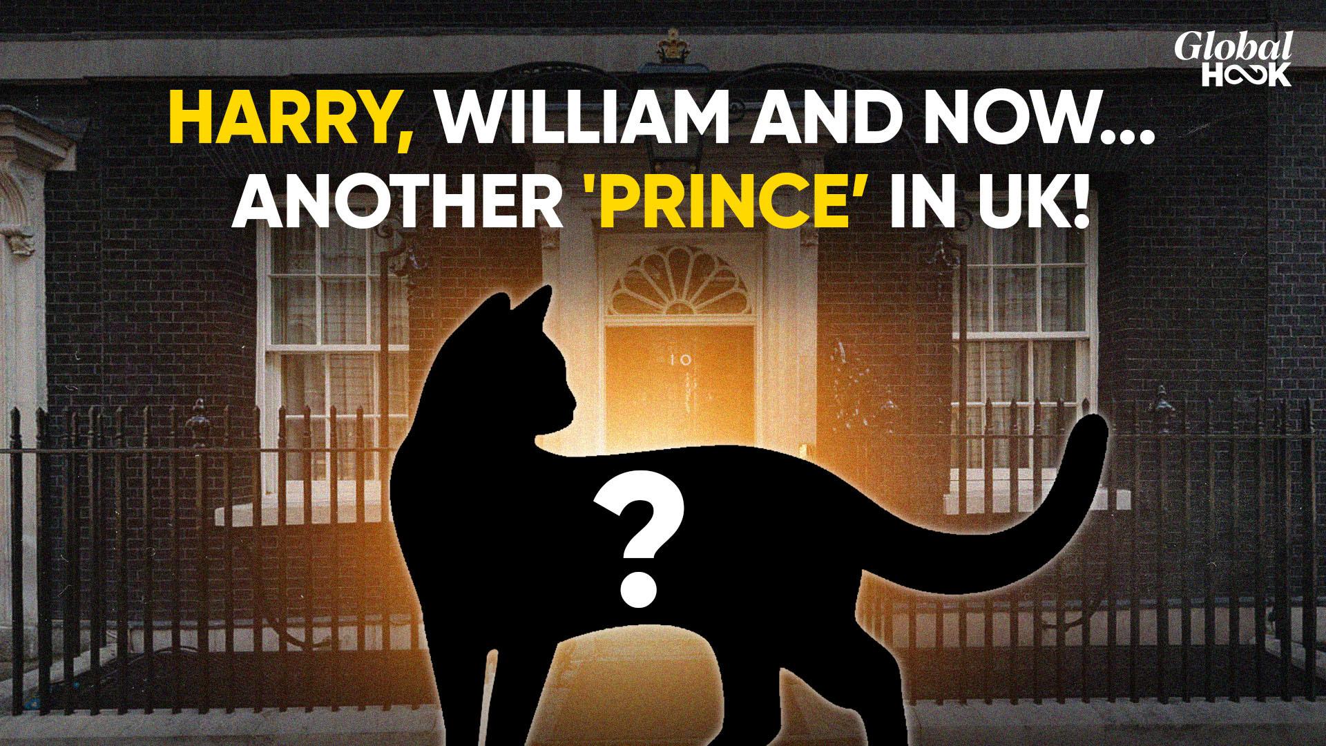 Keir Starmer‘s Cat Troubles: New Feline Causes ’Russia vs UK‘ Storm ...