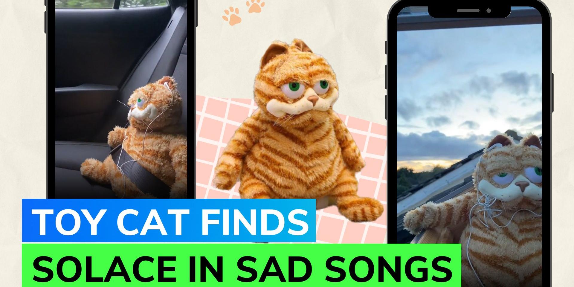 TikTok‘s newest star frowning Garfield toy melts hearts with sad music ...