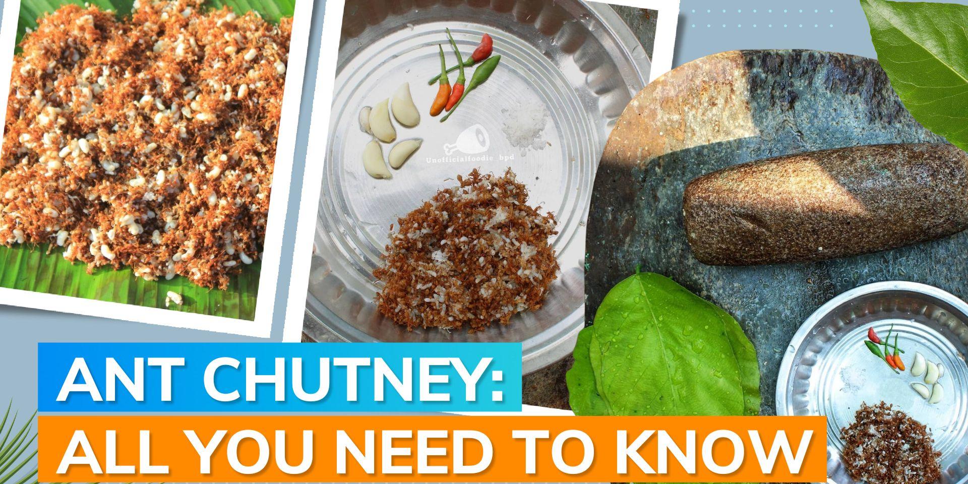 Odisha‘s red ant chutney gets GI tag; here is how the locals make this ...